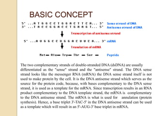 Antisense technologies and antisense oligonucleotides | PPTX