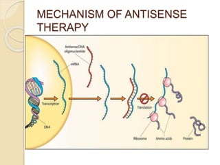 Antisense technologies and antisense oligonucleotides | PPTX
