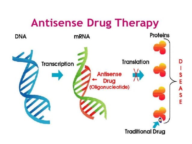 Antisense technology | PPTX