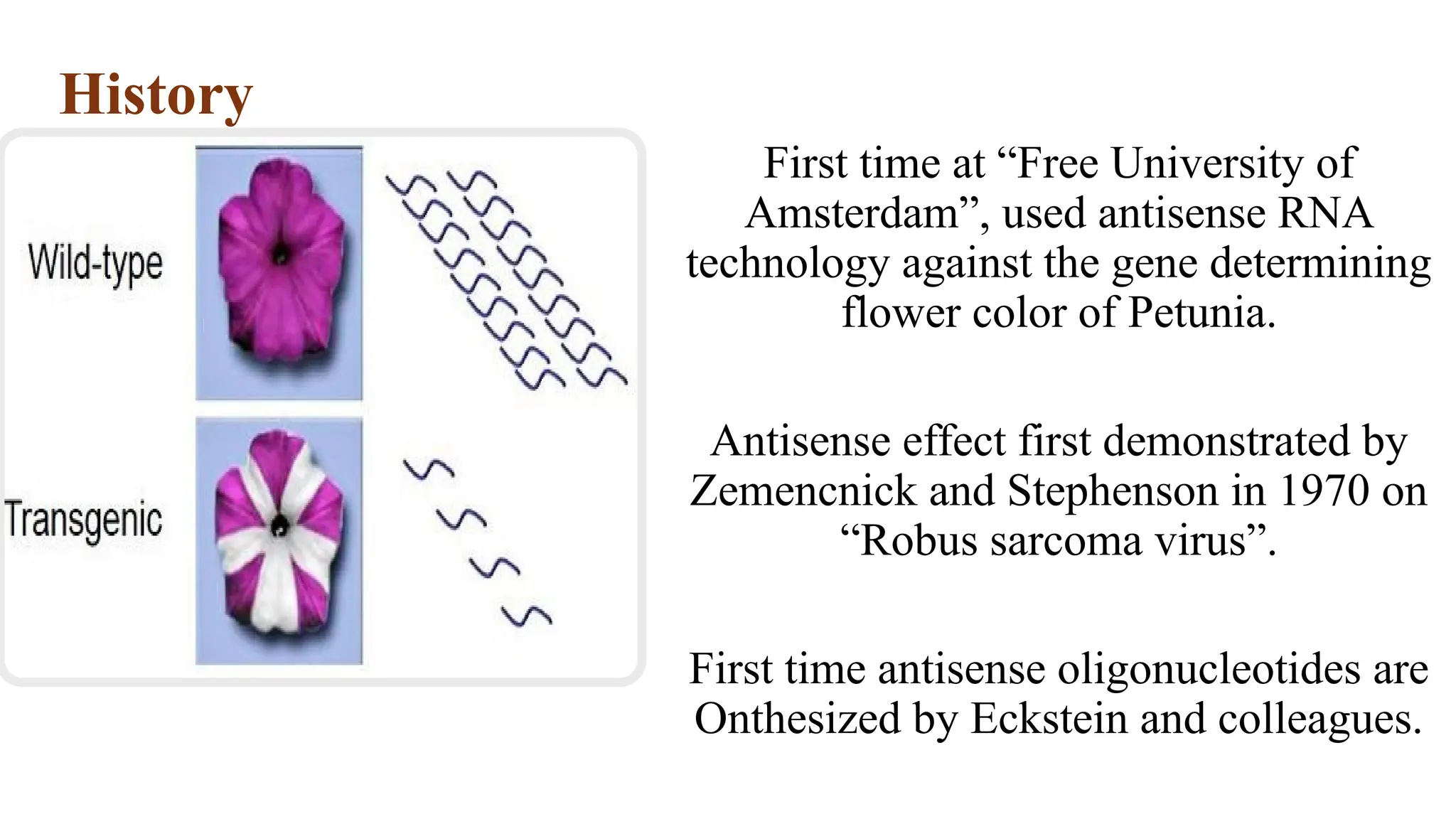 antisense technology and new applications | PPTX