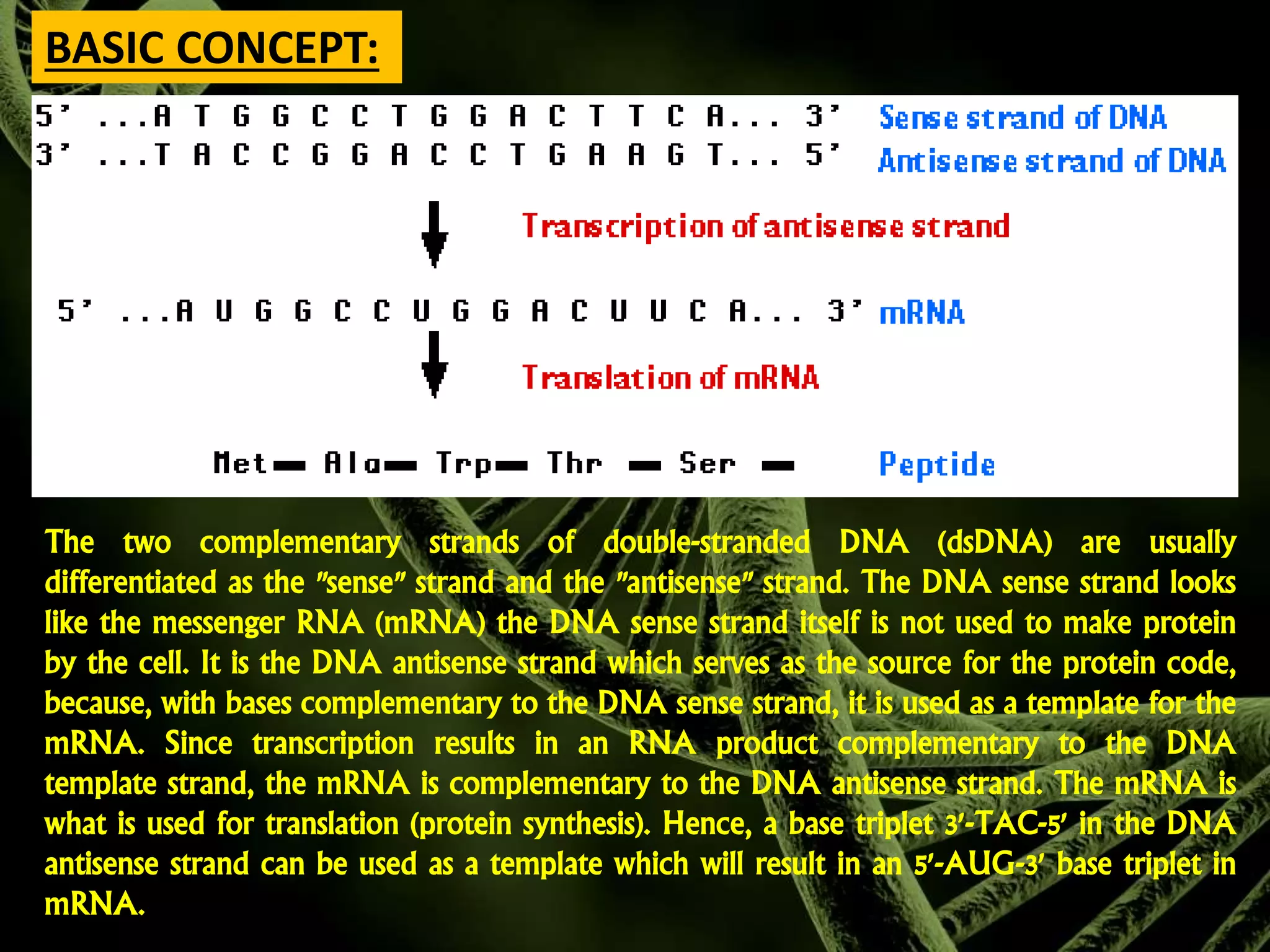 Antisense therapy | PPTX