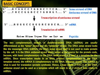 Antisense therapy | PPTX