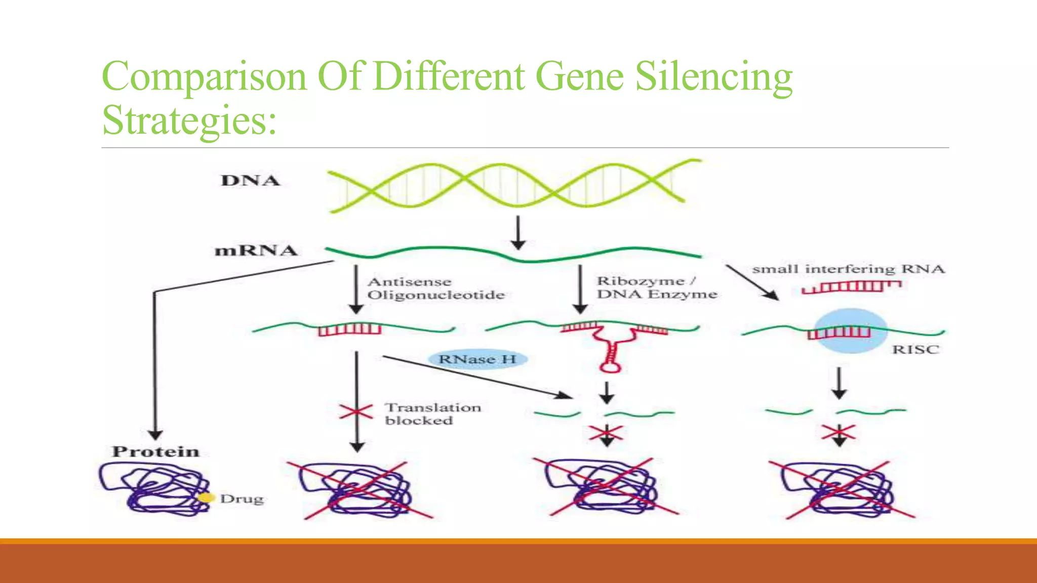 Antisense therapy | PPTX