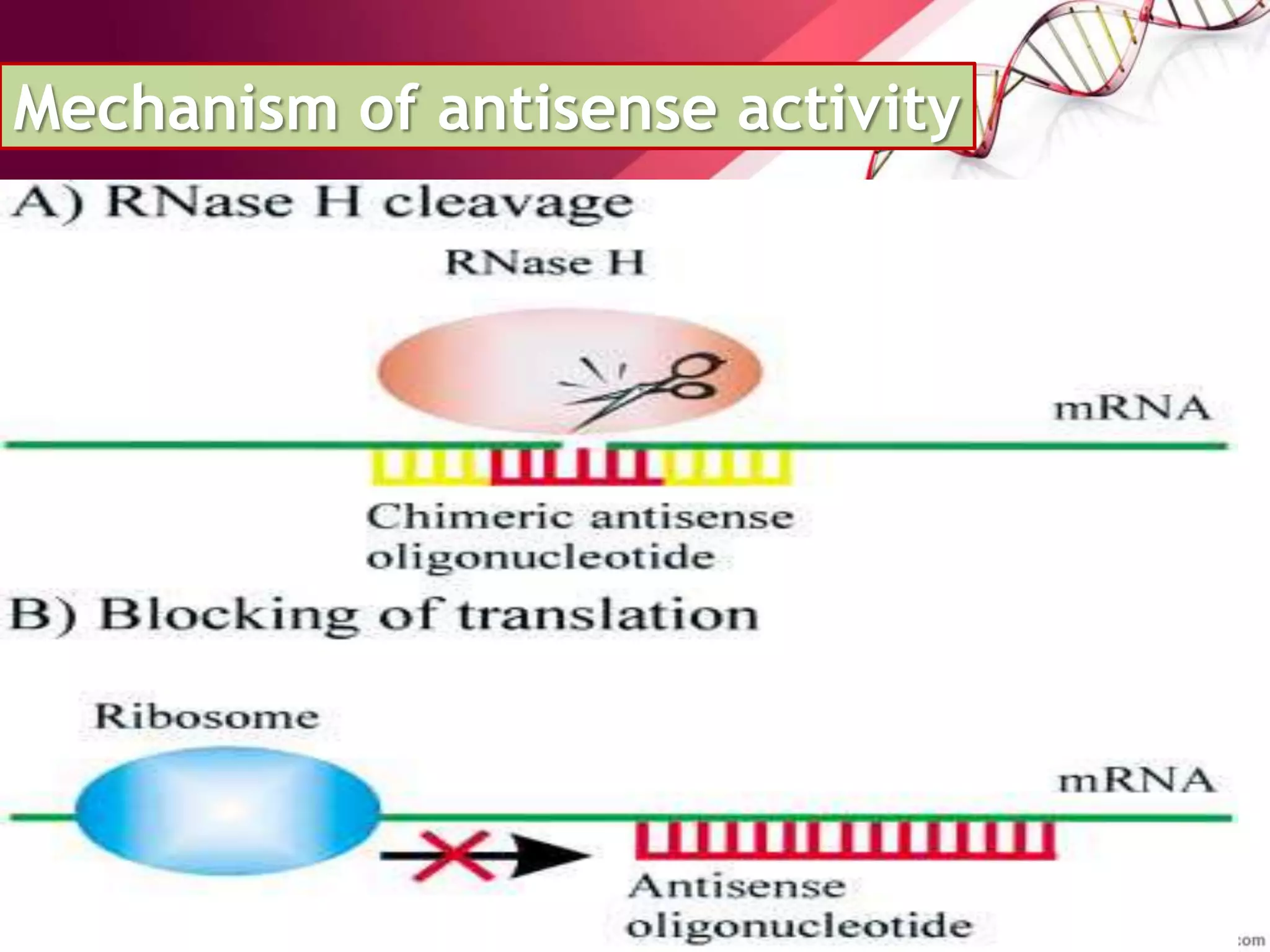 Antisense therapy | PPTX