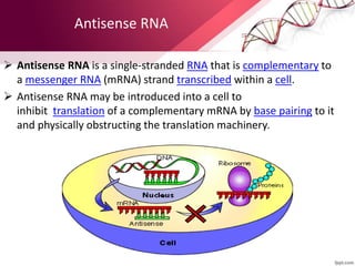 Antisense therapy | PPTX