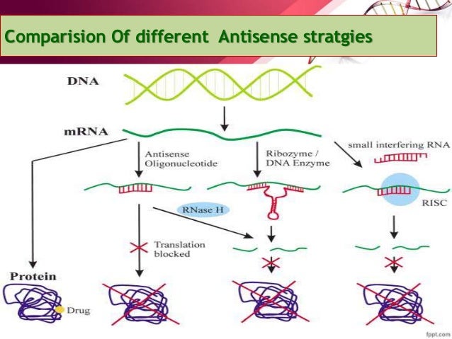Antisense therapy