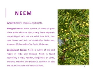 ANTISEPTIC AND DISINFECTANTS - BENZOIN, MYRRH, NEEM, TURMERIC | PDF