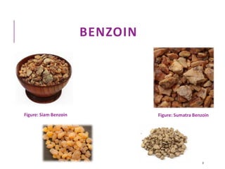 ANTISEPTIC AND DISINFECTANTS - BENZOIN, MYRRH, NEEM, TURMERIC | PDF