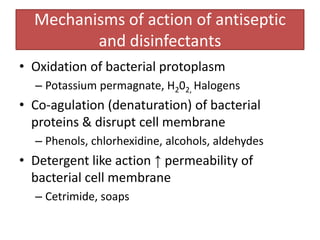 Antiseptics and disinfectants | PPTX