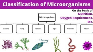 pharmacology of commonly used antiseptics and disinfectants | PPTX