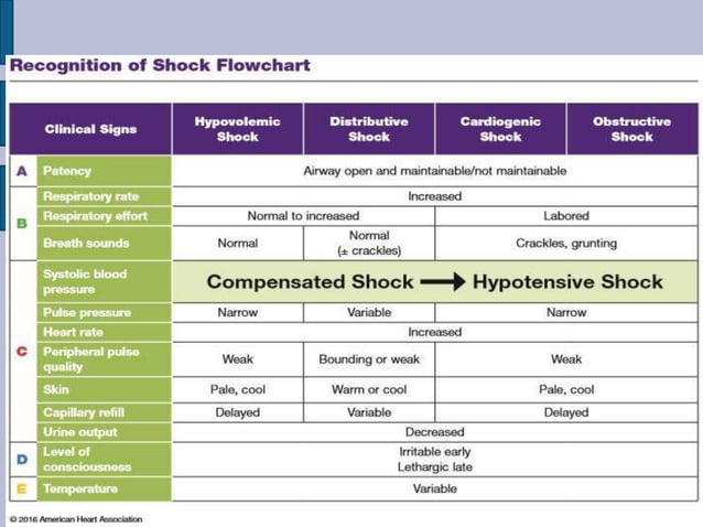 Basic Anti Shock actions for medical students.pptx