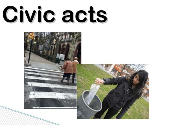 Antisocial behaviour civic behaviour | PDF