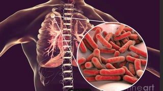 Anti tuberculosis drugs with classification for b pharmacy students | PDF