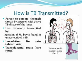 Anti TB drugs | PPT