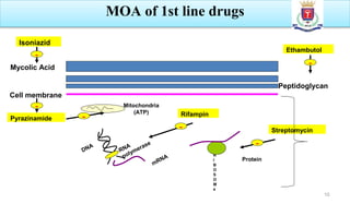 Anti_TB_final part 2. antituberculosis drugs | PPT