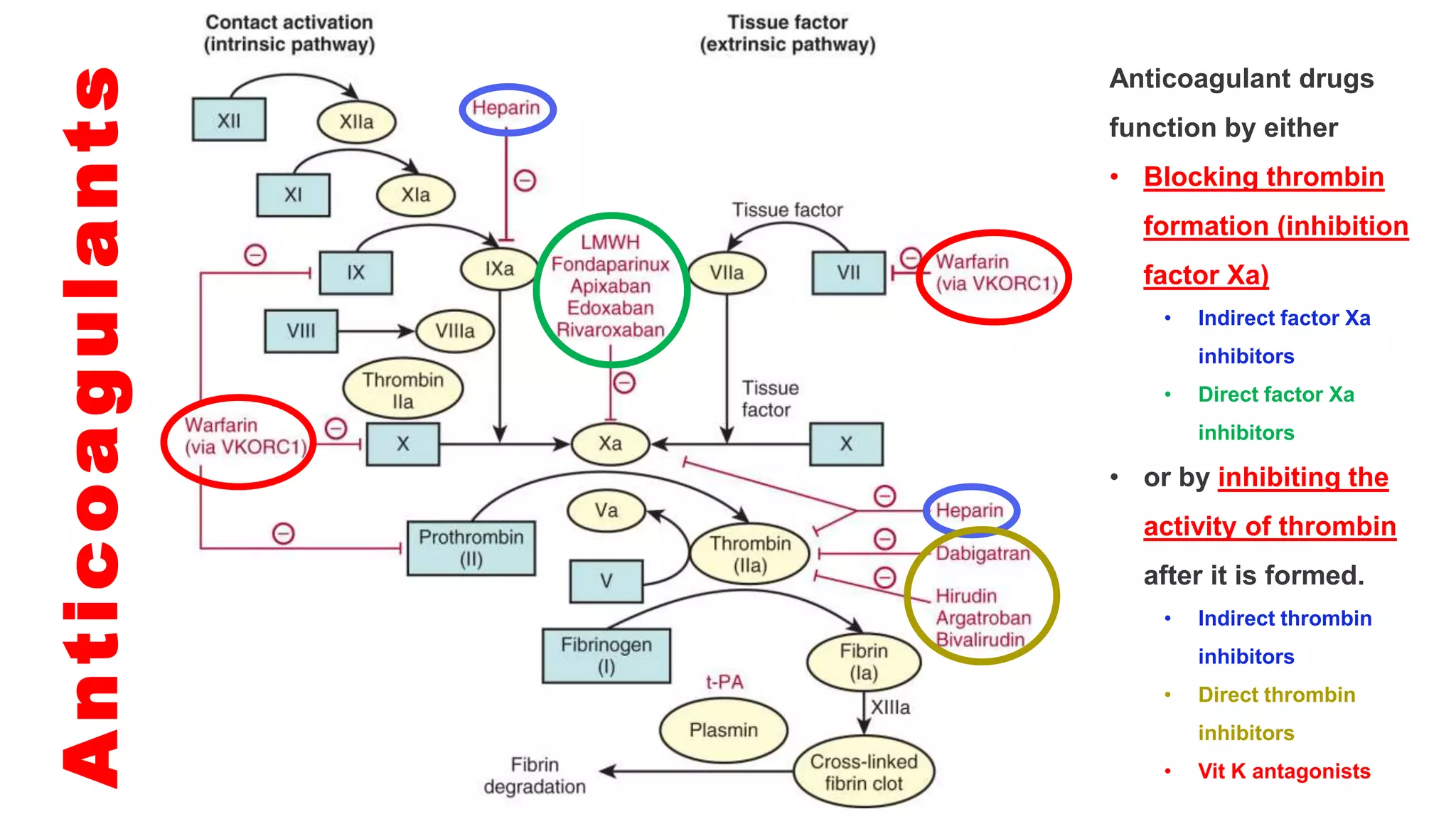 Antithrombotics | PPT