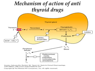 Anti-Thyroid Drugs | PPTX