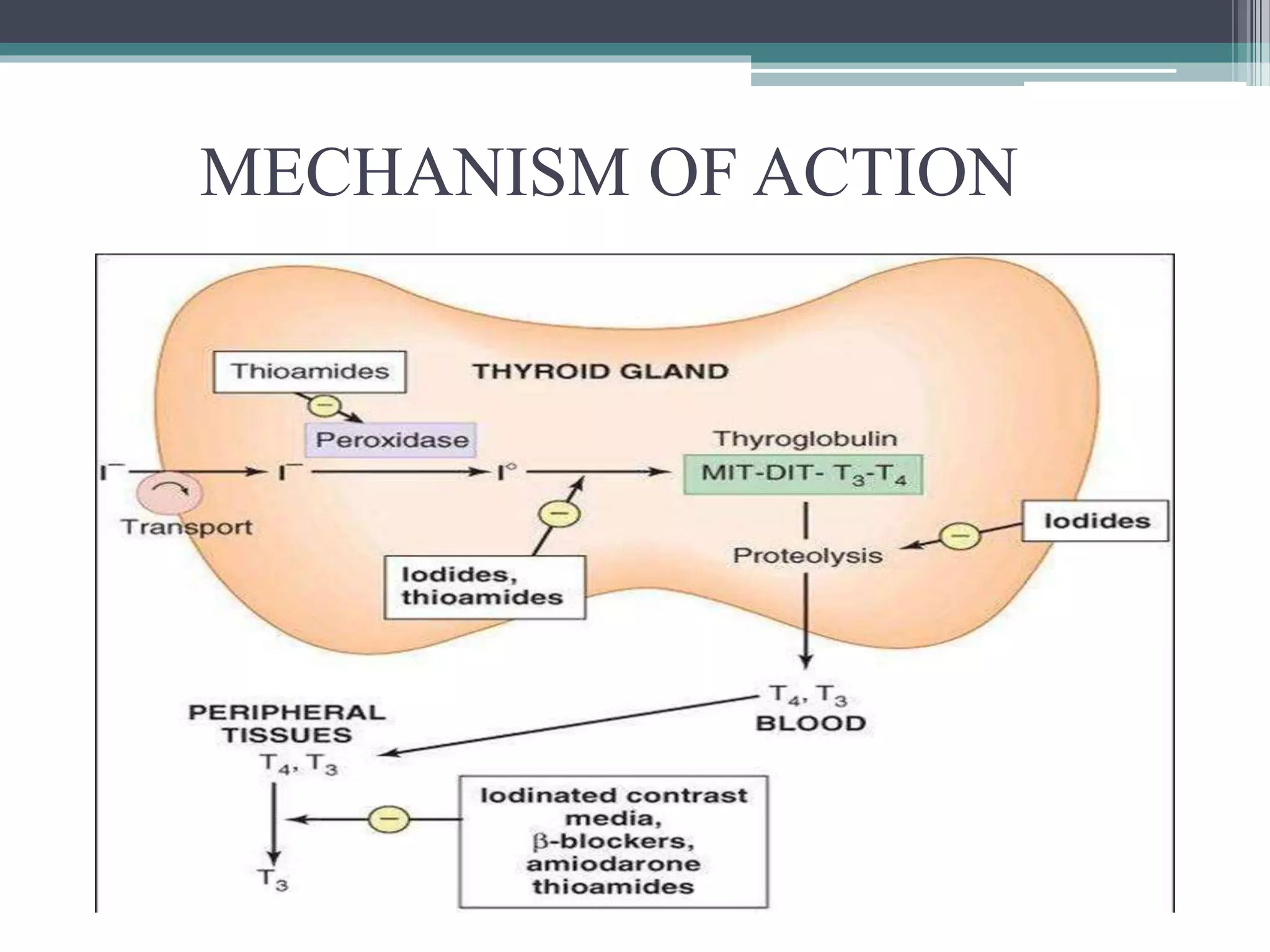 Antithyroid agents | PPTX