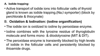 antithyroid drugs 2018.pptx................. | PPTX