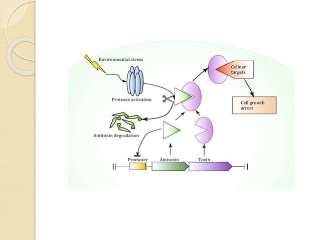 Anti toxins principle and their uses advantages and disadvantages ...