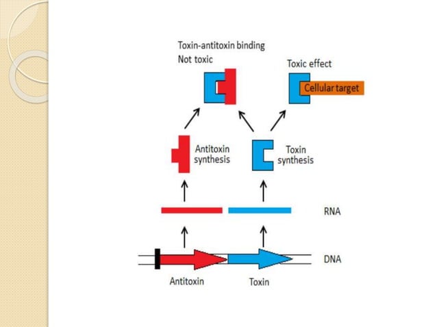 Anti toxins principle and their uses advantages and disadvantages ...
