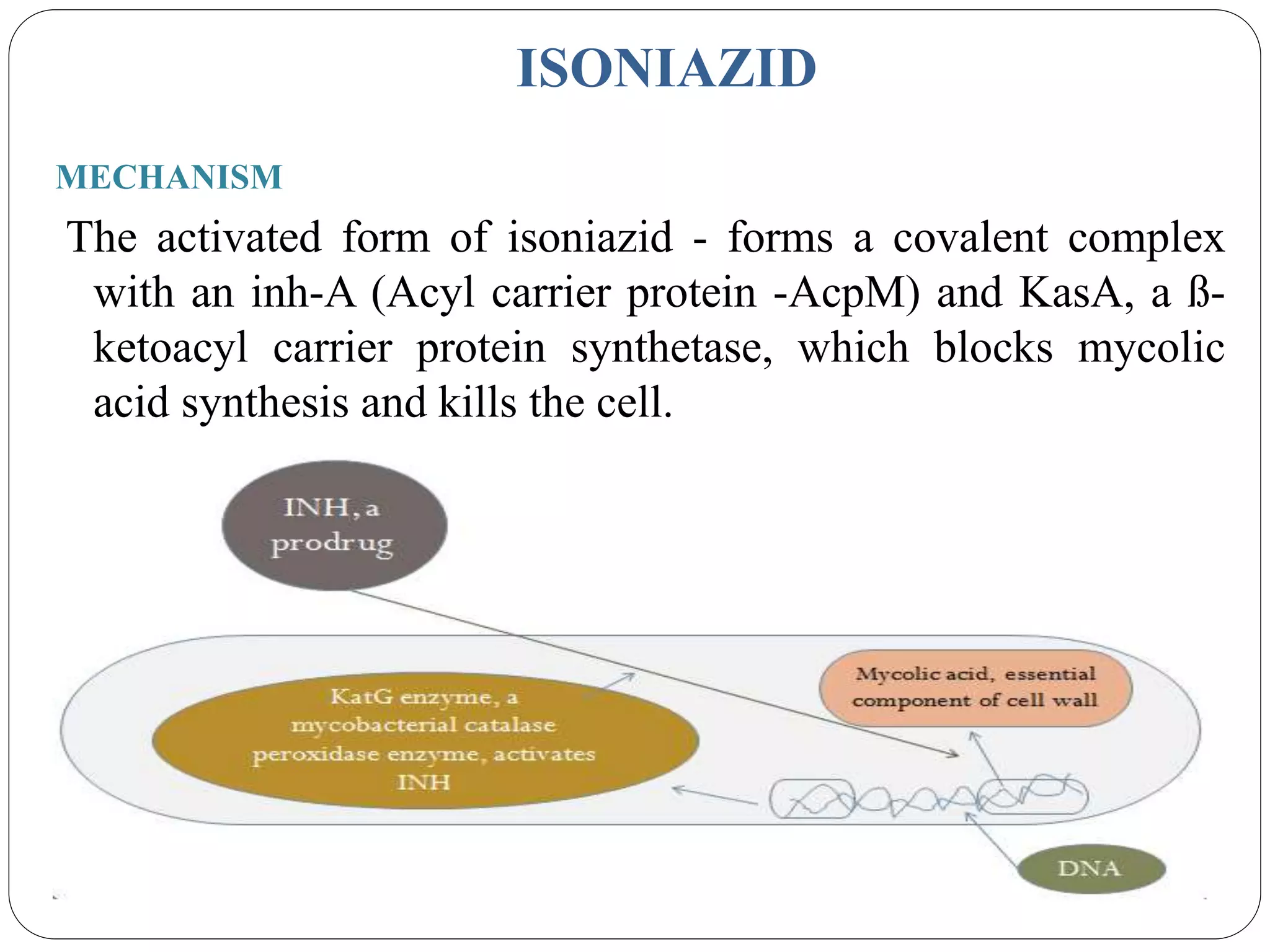 Anti tubercular drugs | PPTX