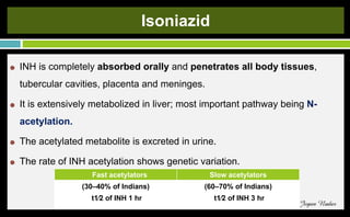 Anti tubercular drugs | PDF