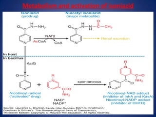 Antitubercular drugs. | PDF