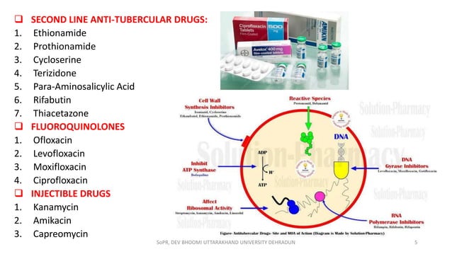 ANTI TUBERCULAR DRUGS AND THEIR ACTIONS. | PPT