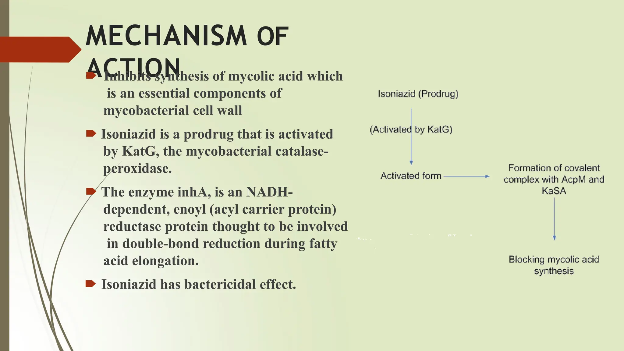 ANTITUBERCULAR DRUGS and classification,sar,uses of drugs | PPTX