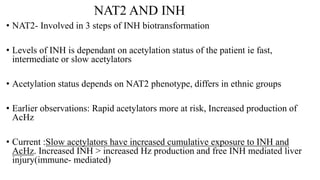 Antitubercular drugs and hepatotoxicity | PPTX