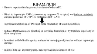 Antitubercular drugs and hepatotoxicity | PPTX