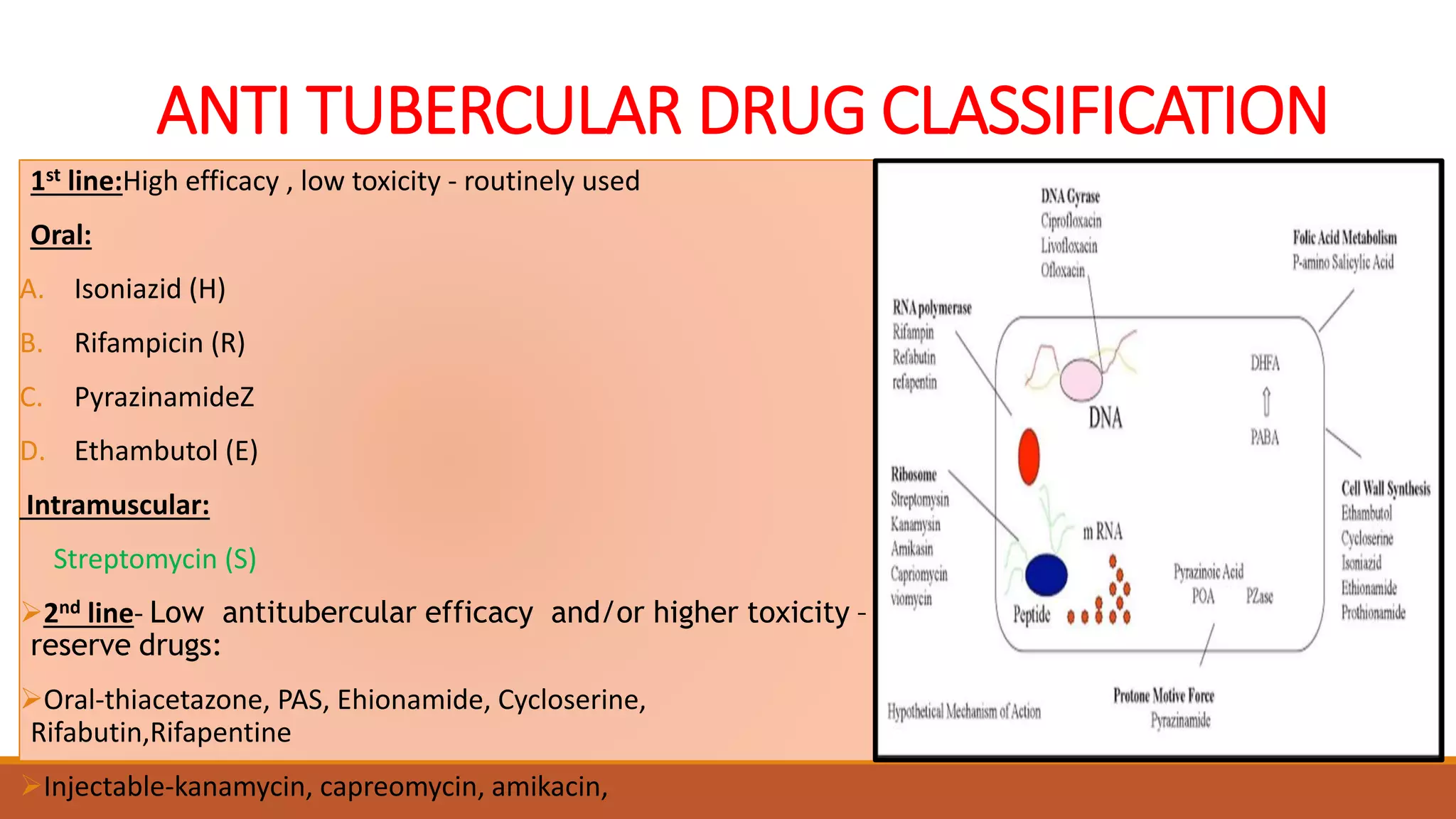 Antitubercular drugsnew | PPTX
