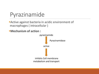 Anti tuberculosis therapy ( att) | PPTX