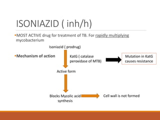 Anti tuberculosis therapy ( att) | PPTX