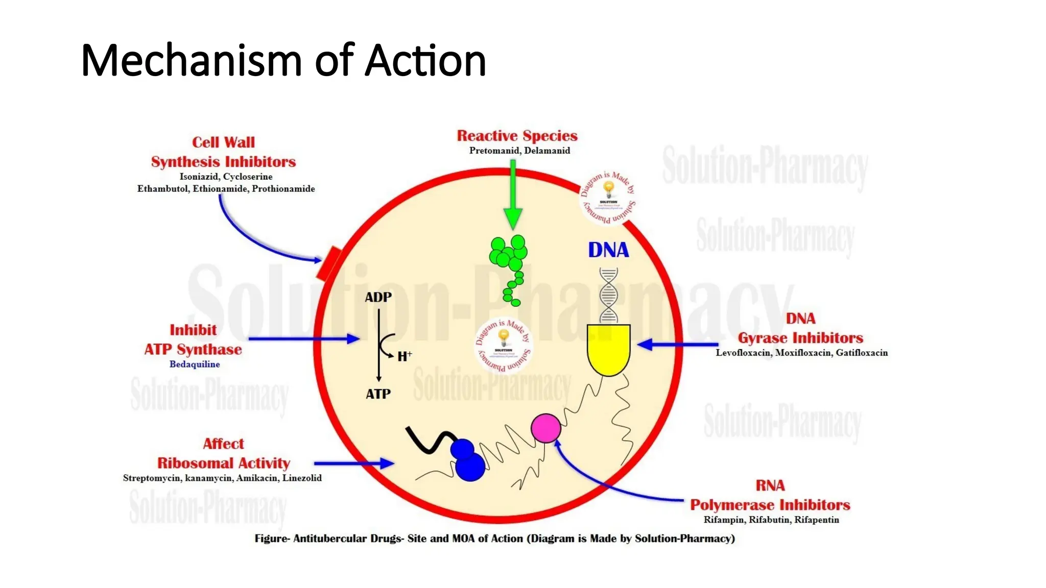 Anti tuberculosis agents, Classification,Pathogenesis..etc