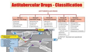 Anti tuberculosis agents, Classification,Pathogenesis..etc