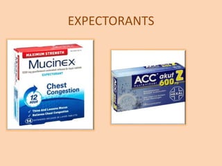 Antitussive and expectorents, respiratory stimulation | PPTX