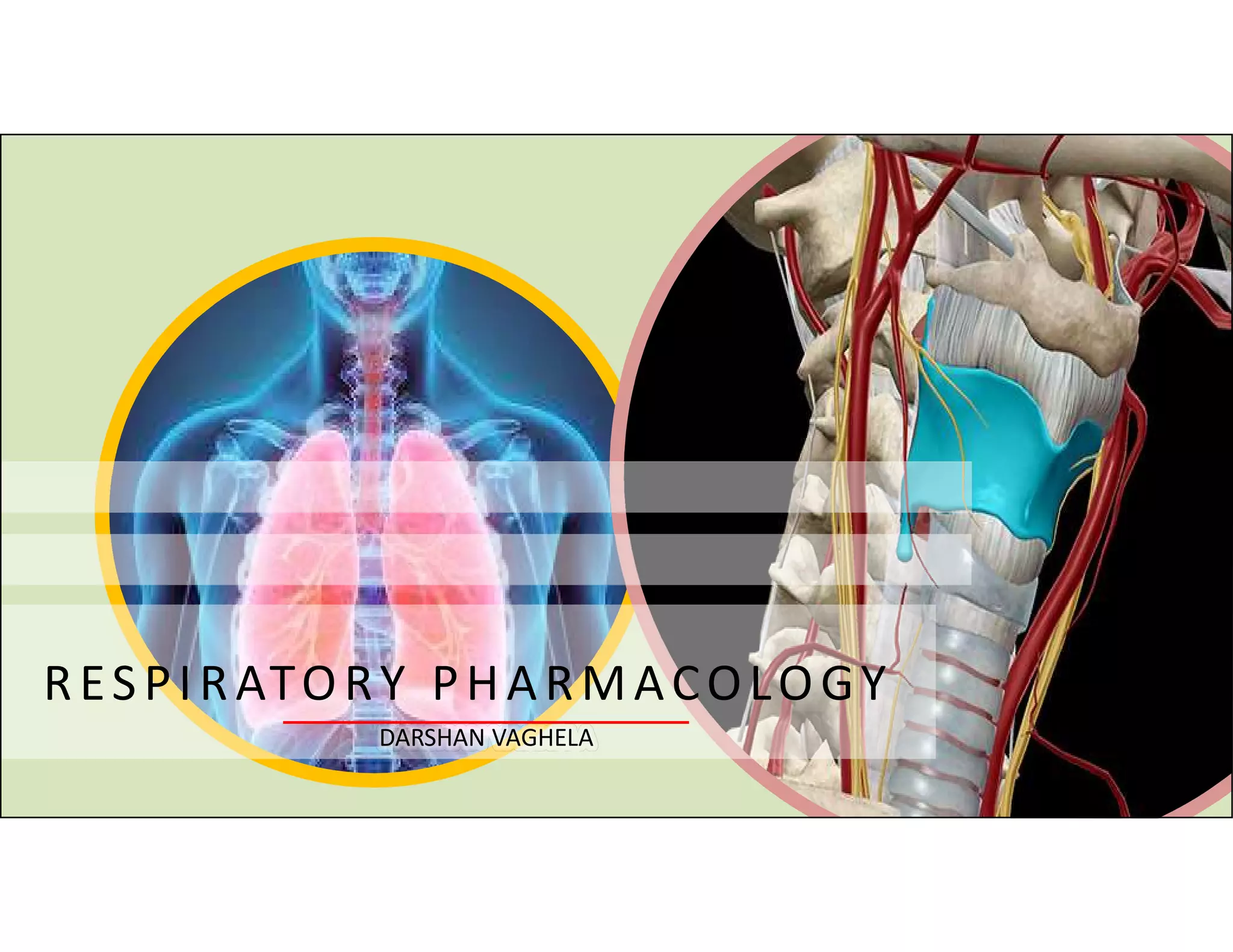 Antitussive, expectorants, nasal decongestants | PDF