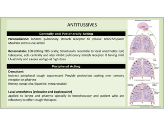 Antitussive, expectorants, nasal decongestants | PDF