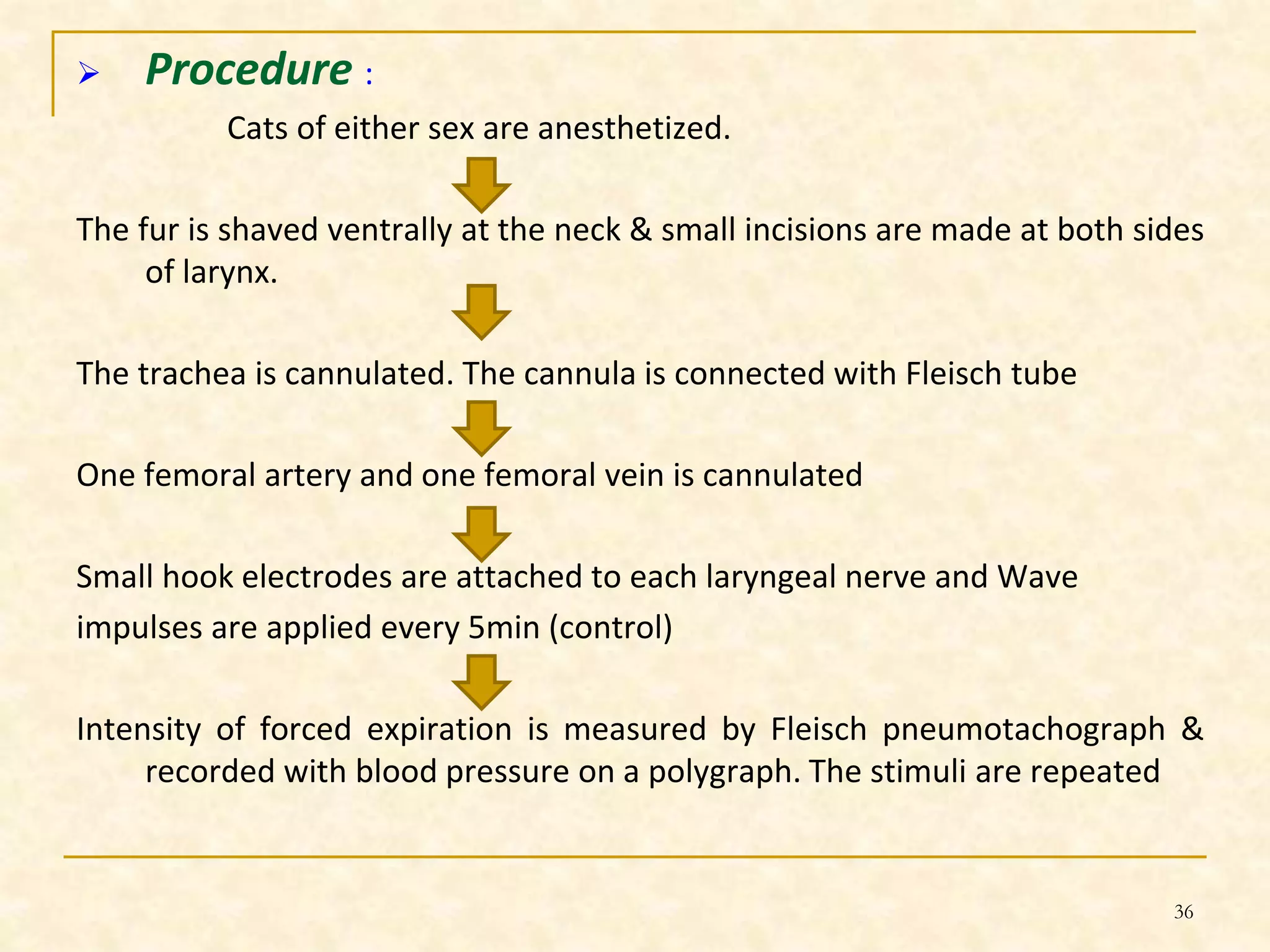 Antitussive mechanism ppt | PPTX