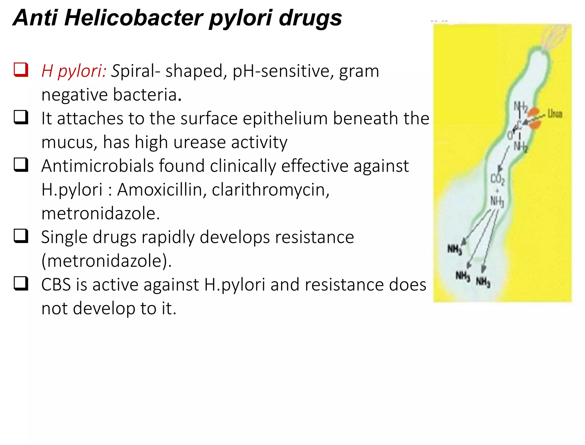 Anti ulcer drug | PPTX