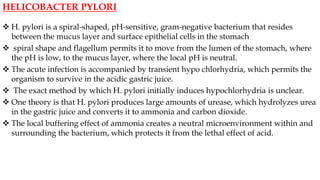 Anti ulcer drugs | PPTX