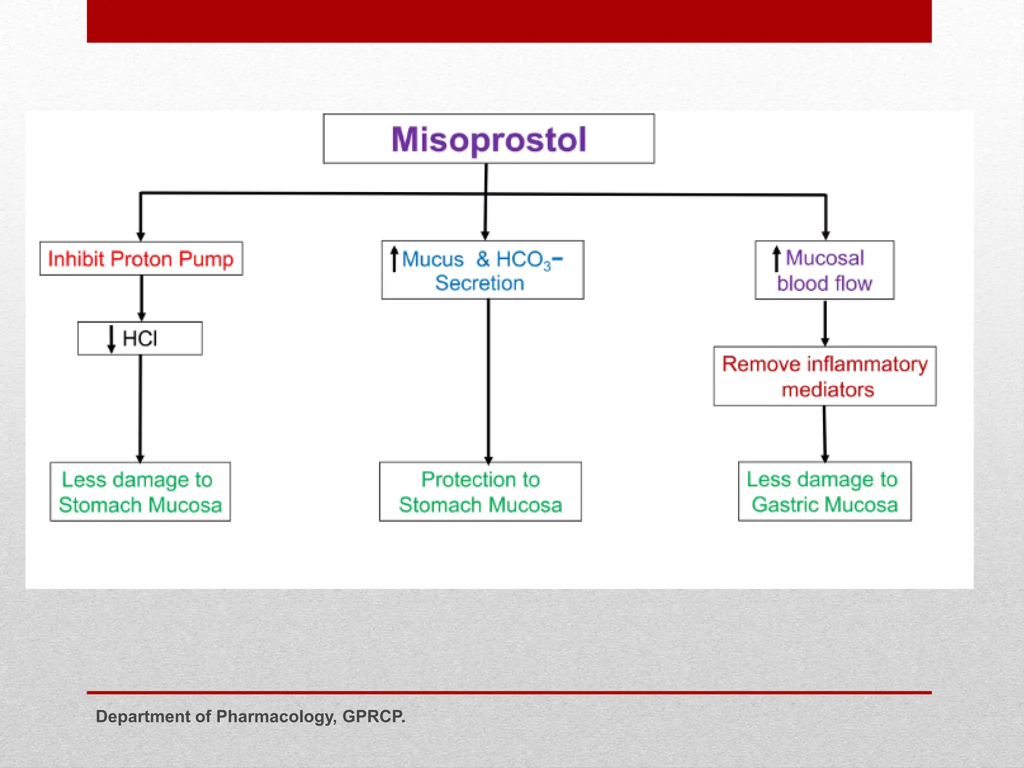 ANTI ULCER DRUGS | PDF