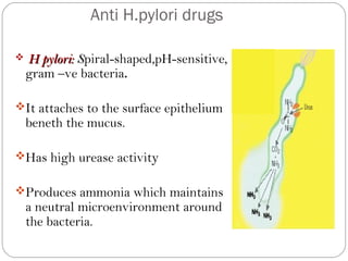 Anti ulcer drugs classification | PPT