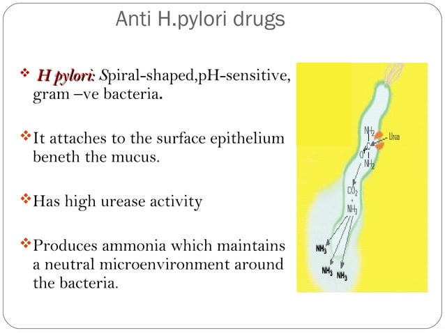 Anti ulcer drugs classification | PPT | Digestive Disorders | Diseases ...