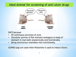 Anti ulcer screening | PPTX