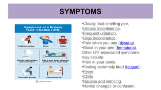 ANTI URINARY TRACK INFECTION AGENT MC III | PPTX