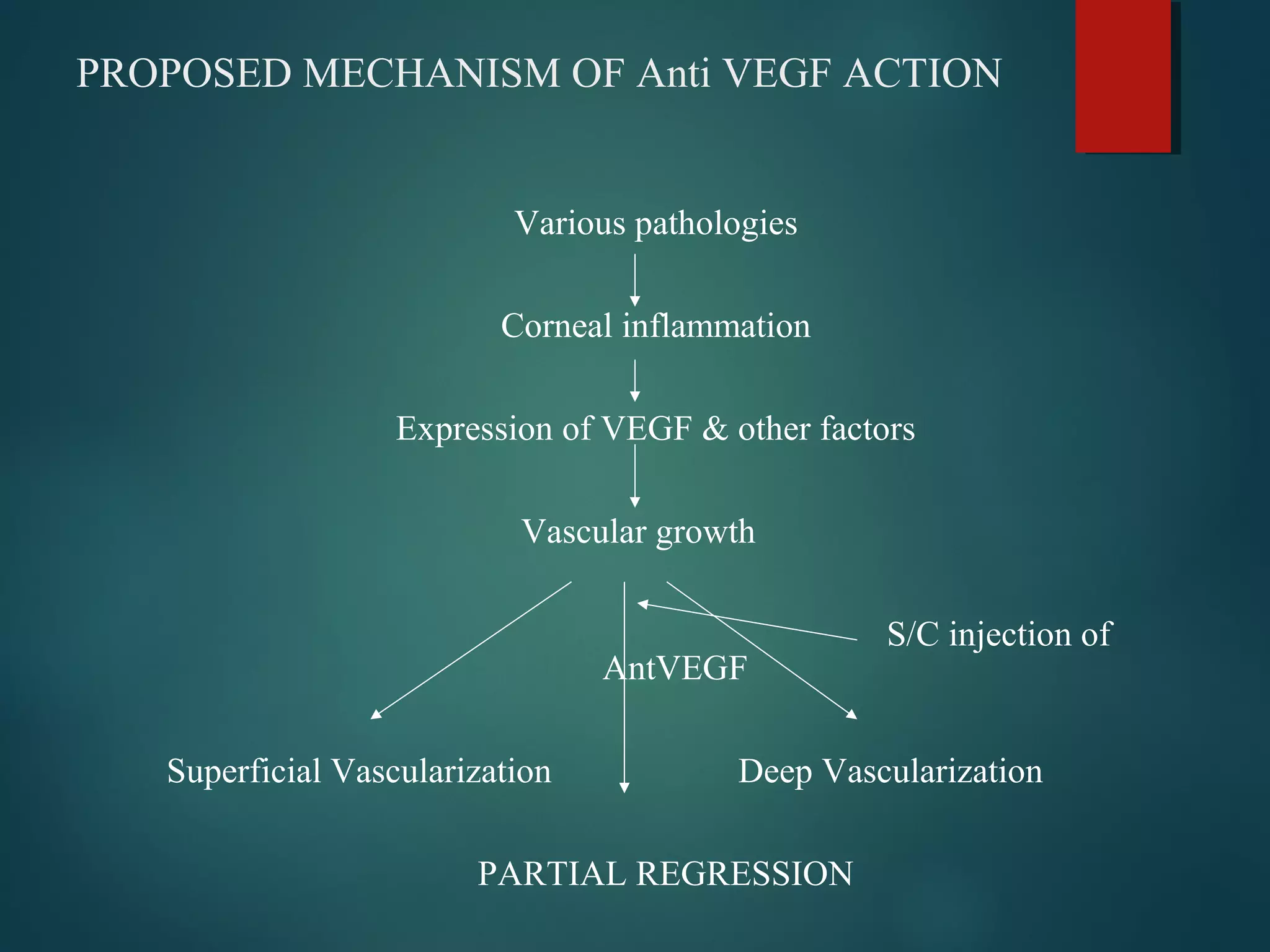 Anti vegf | PPT