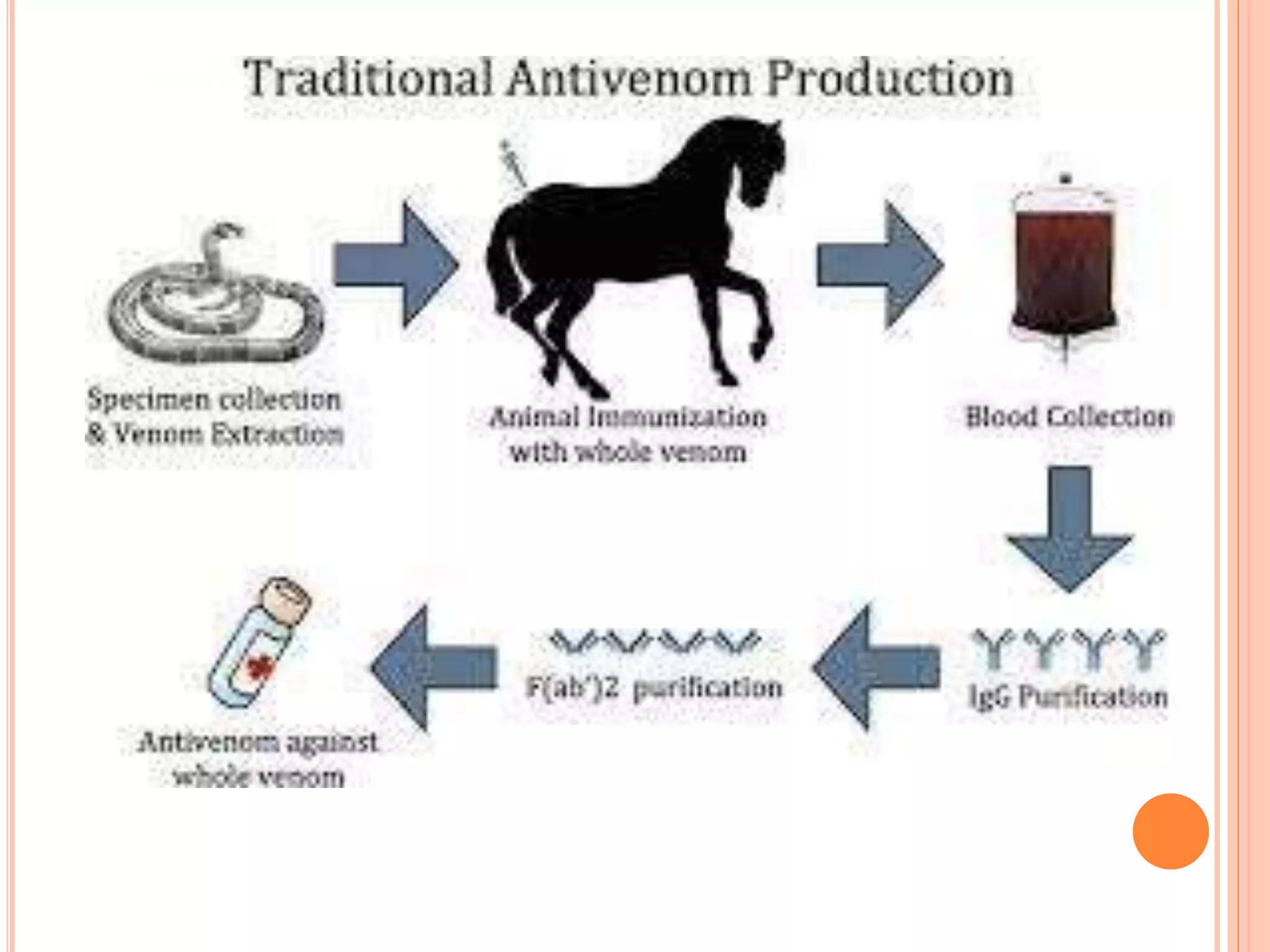 Biological test and assay of Antivenom | PPTX